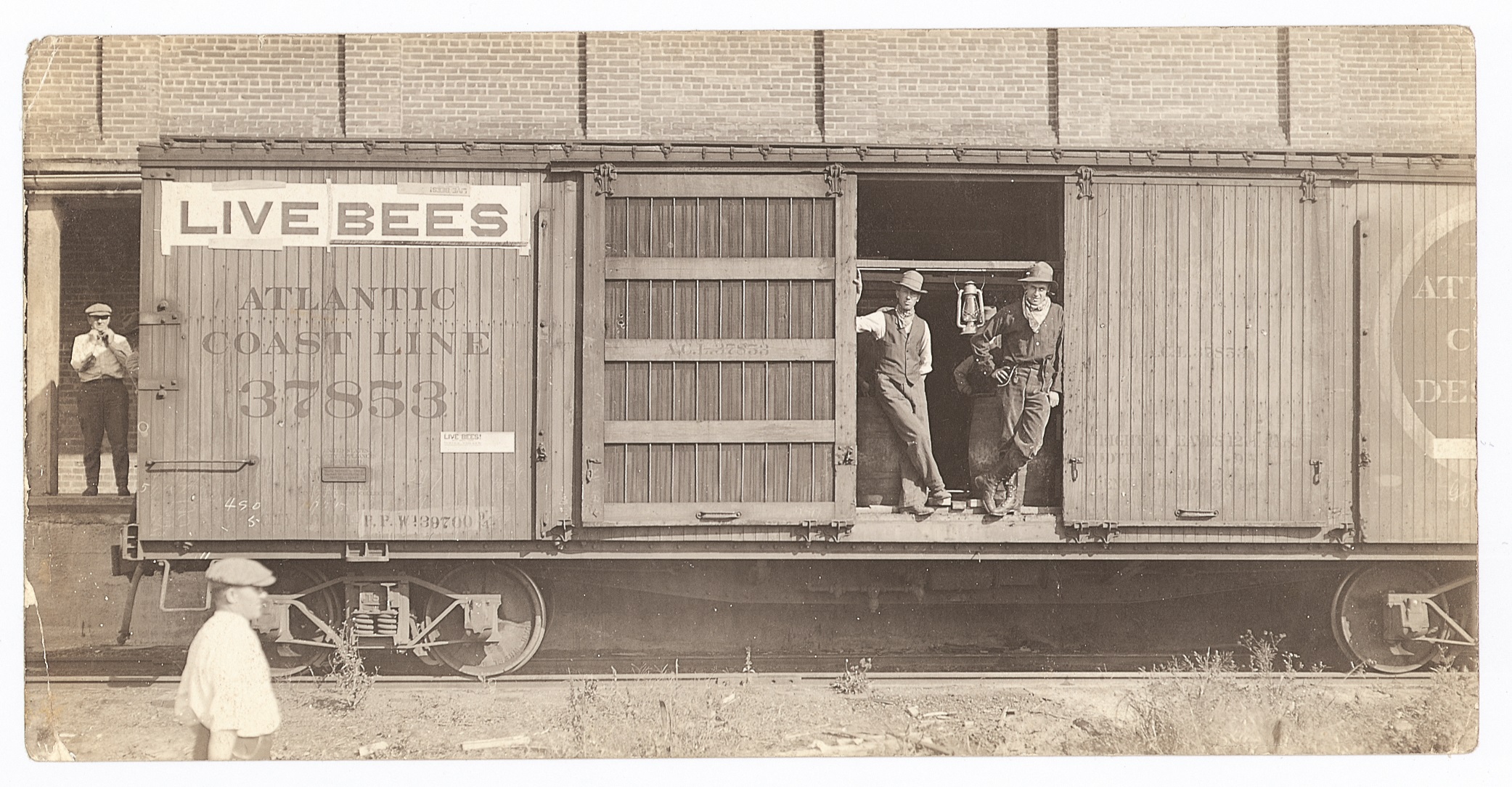 Eleven Facts about Root Candles - Root Candles USA