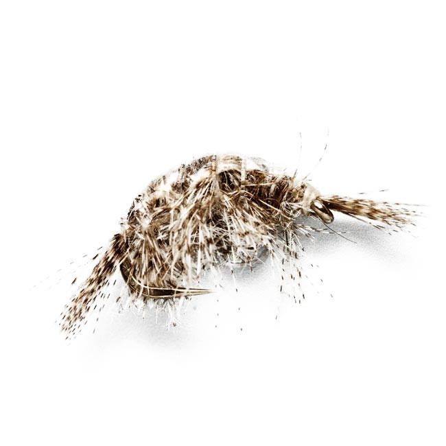 Shrimp Fly Pattern / Oliver Edward's Freshwater Shrimp -- Casters Fly Shop