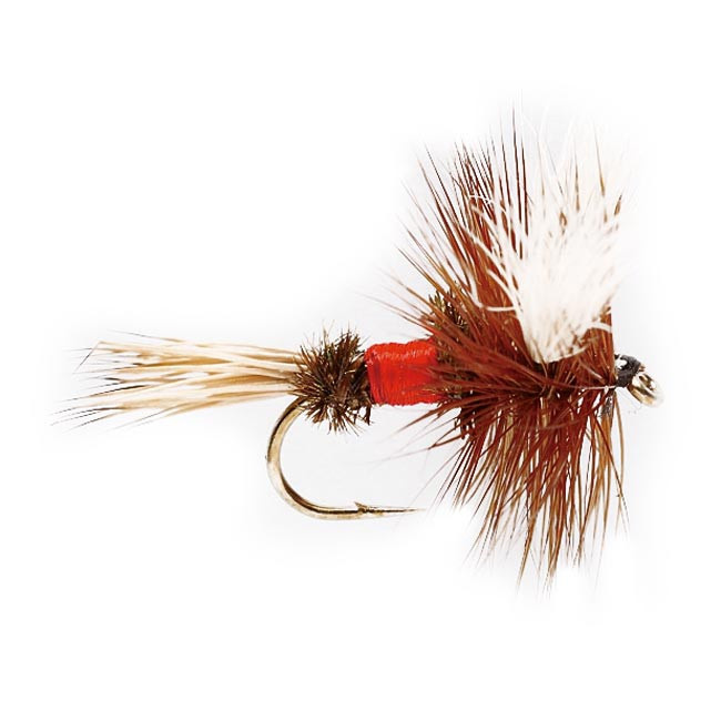 Dry Fly / Royal Wulff -- Orvis