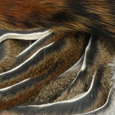 Complete Micro Stripped Pine Squirrel Hide / Casters Online Fly Shop