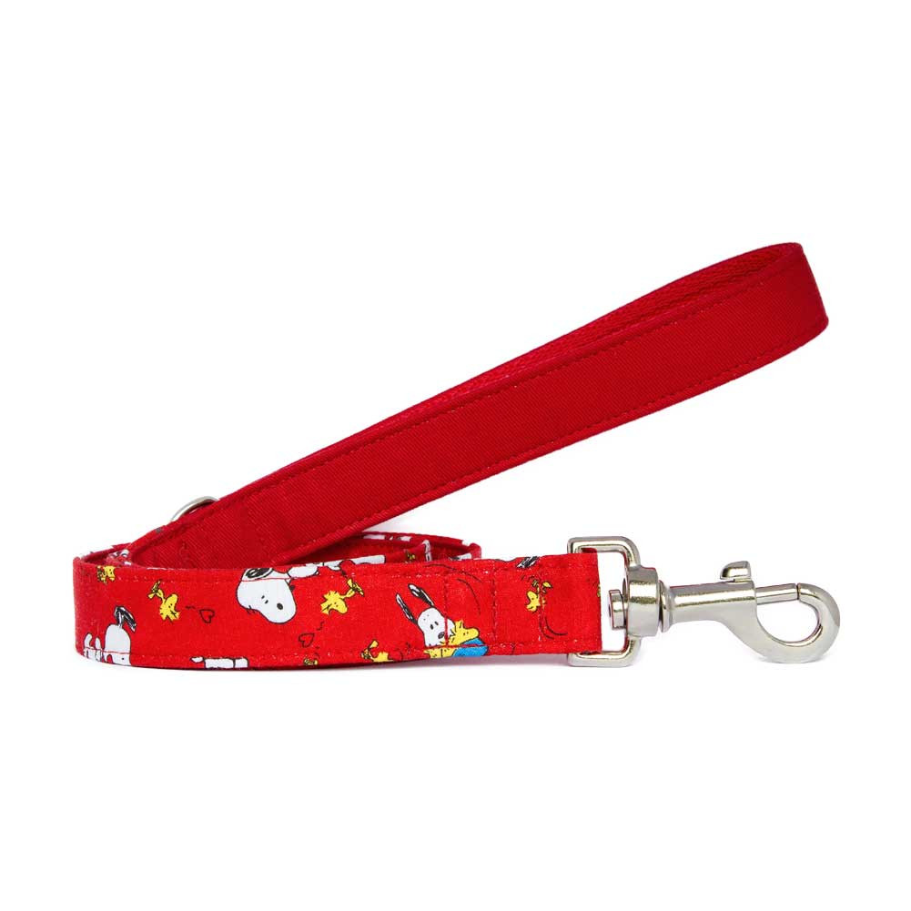 Lead: [Snoopy Oh Joy! Red] - Noddy & Sweets