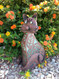 Cat Solar Statue Regal and Sassy Metal Art | 16" Animal Solar Lights