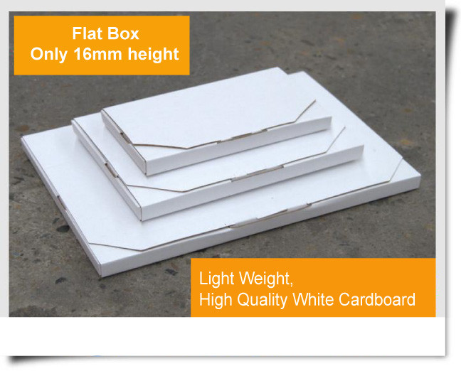 100 Pcs Flat Letter Size Mailing Box Size 310x220x16 mm A4 size - pakonline