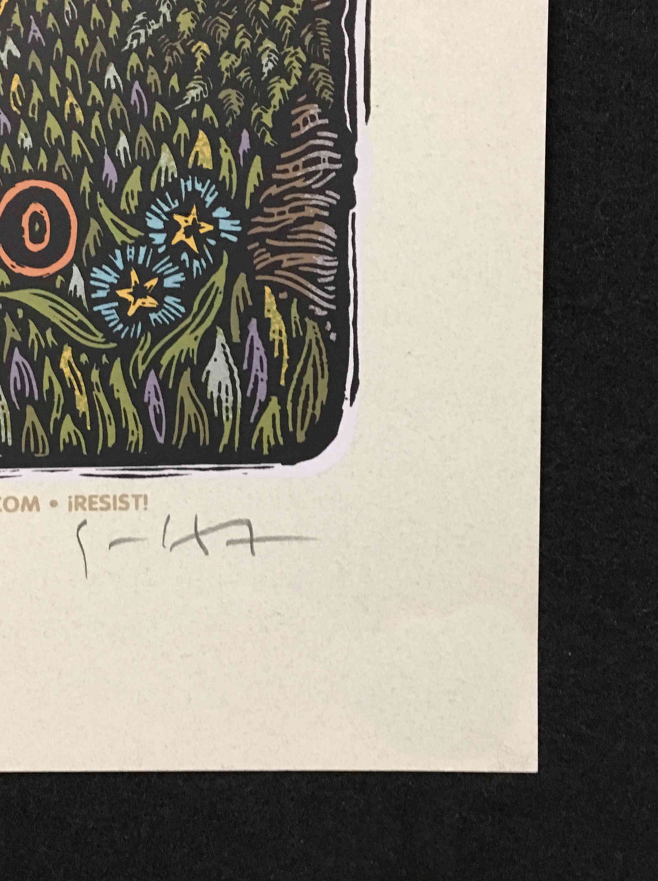 2 POSTER SET 2019 RIDE Fest + 2019 RockyGrass Fest Hand-Signed Gary ...