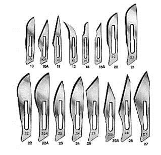Surgical scalpel blade sizes store