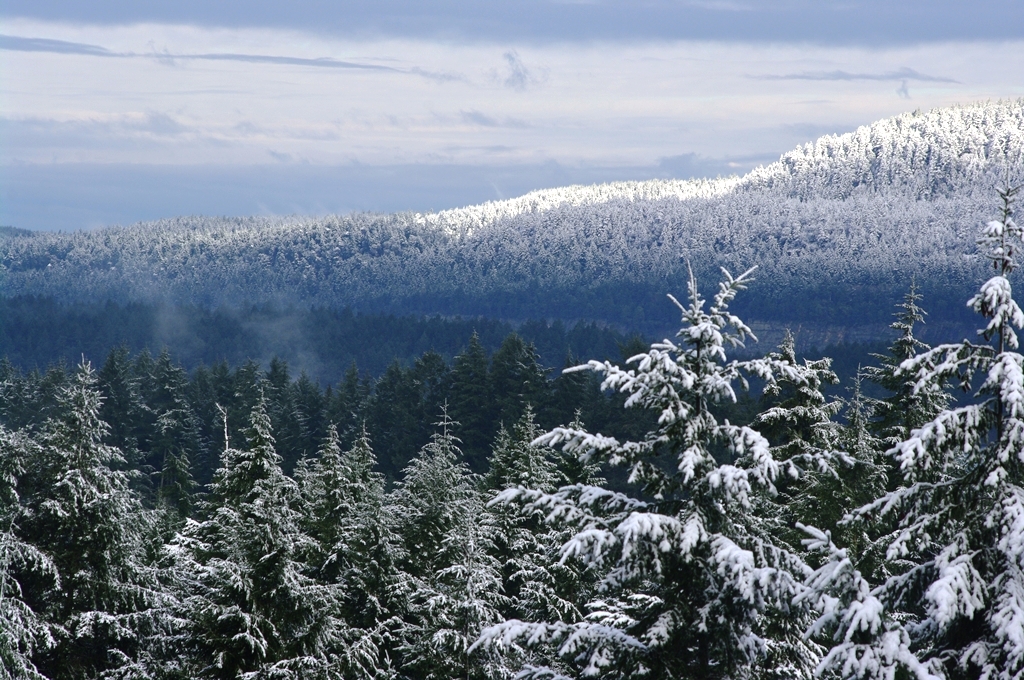 Mid December update - Hilleater.ca