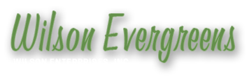 Your first blog post! - Wilson Enterprises, Inc.