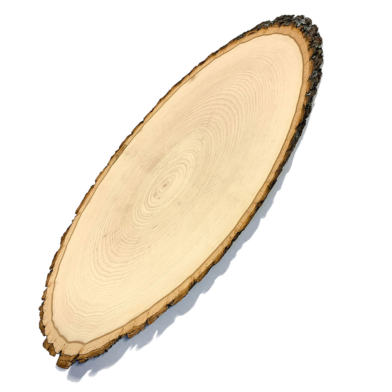 Wilson Basswood Elongated Round Slice Wilson Enterprises Inc