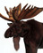 Hansa Moose, Ride-On 49''L - Endeavour Toys