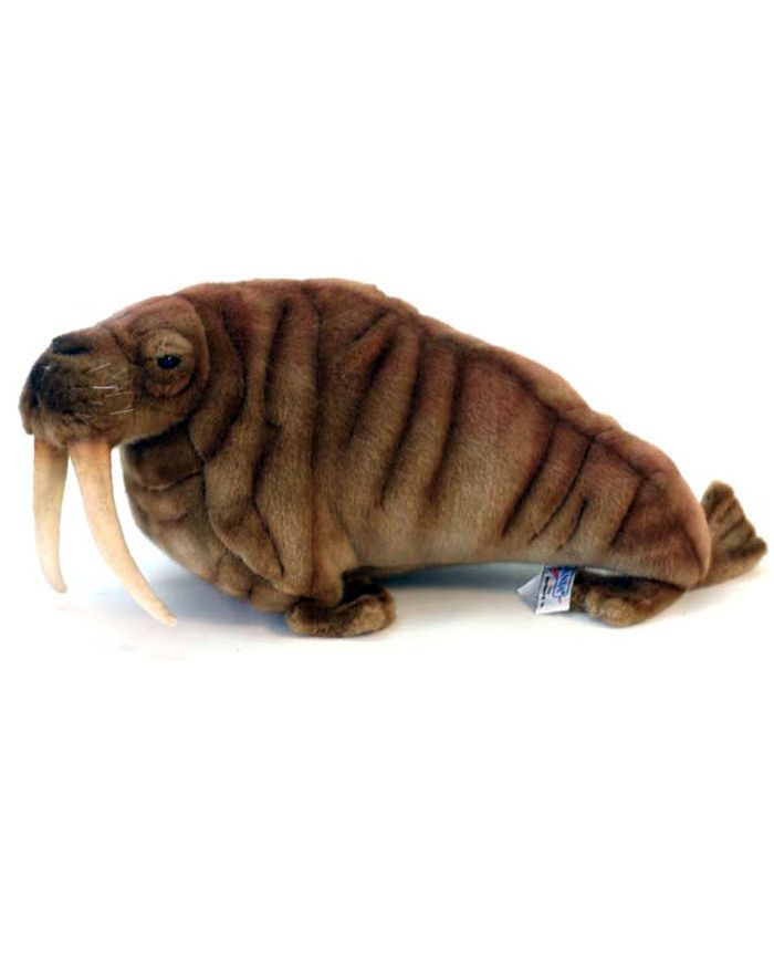 Hansa Walrus, 15" Long - Endeavour Toys