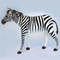 Hansa Zebra Stool - Endeavour Toys