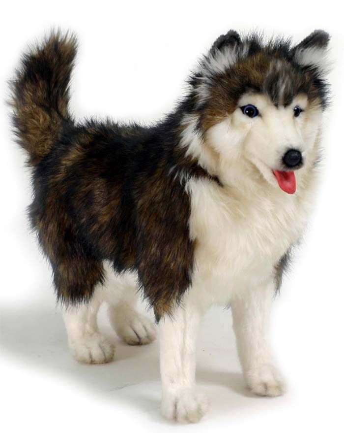 Hansa Husky Dog, 14'' - Endeavour Toys
