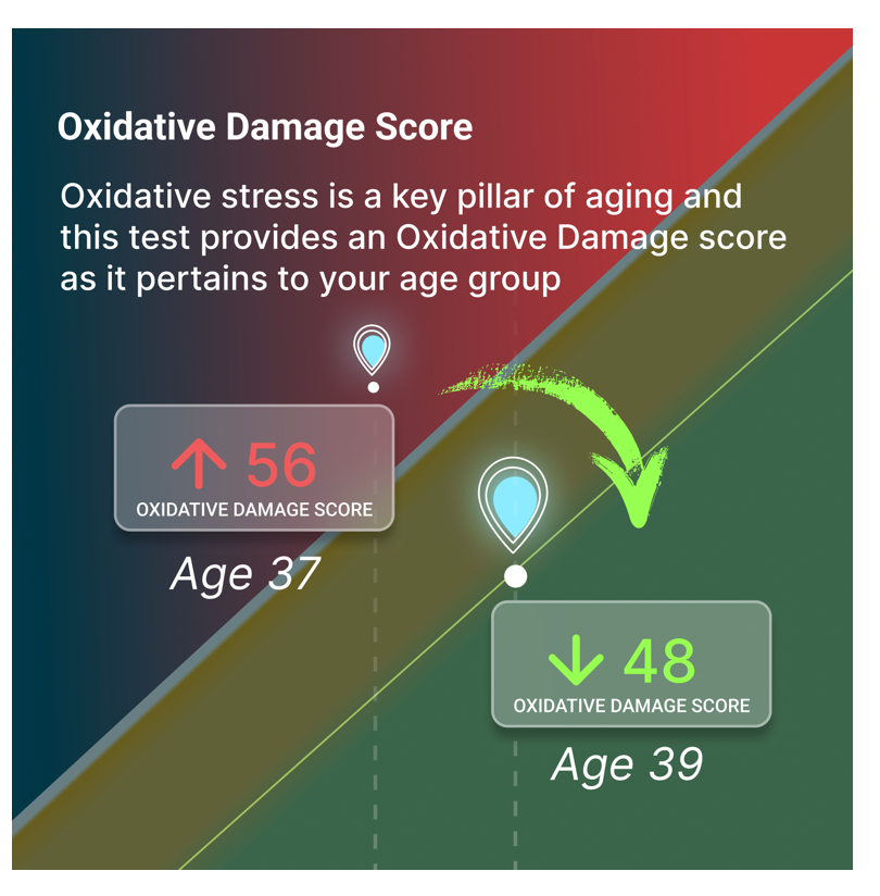 Oxidative Stress Profile - (***MetaOmics Integration requires purchase ...