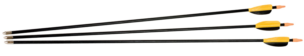 Shop Sporting Goods - Archery - Archery Arrows - Athletic Stuff