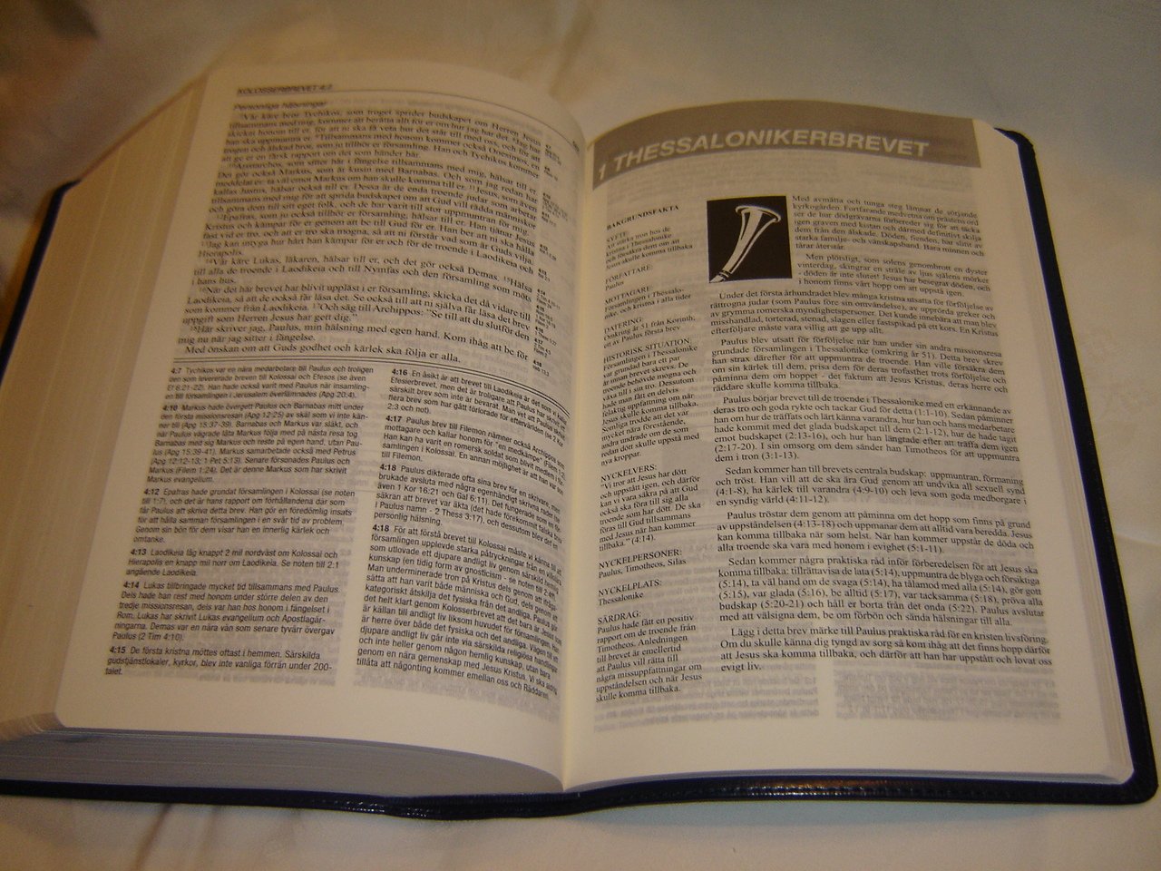 Introducing: Swedish Life Application Study Bible / Handbok For Livet ...