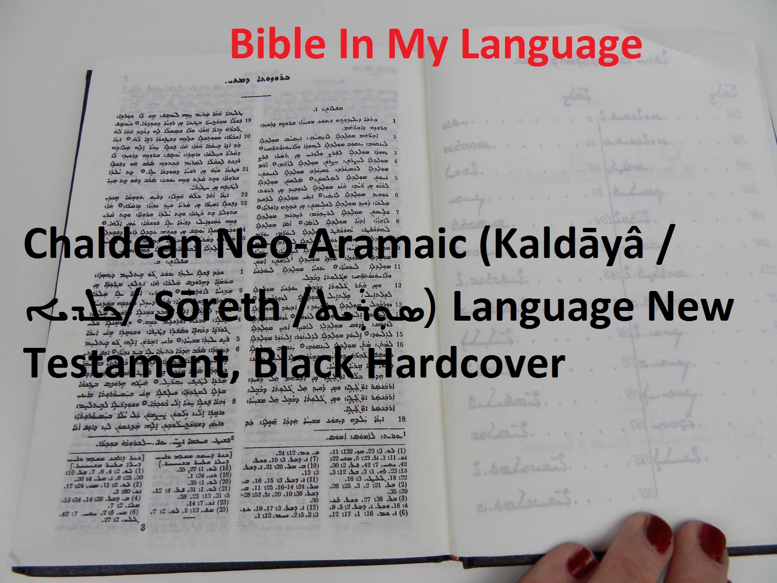 Introducing the Chaldean Neo-Aramaic Language New Testament, Black ...