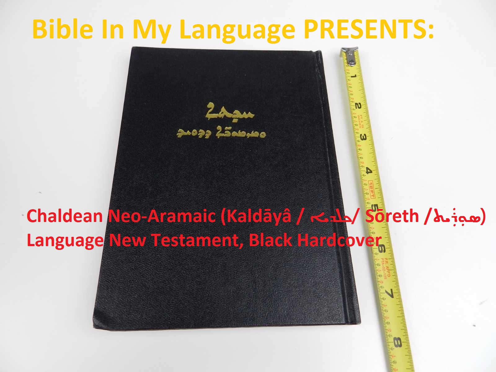 Introducing the Chaldean Neo-Aramaic Language New Testament, Black ...