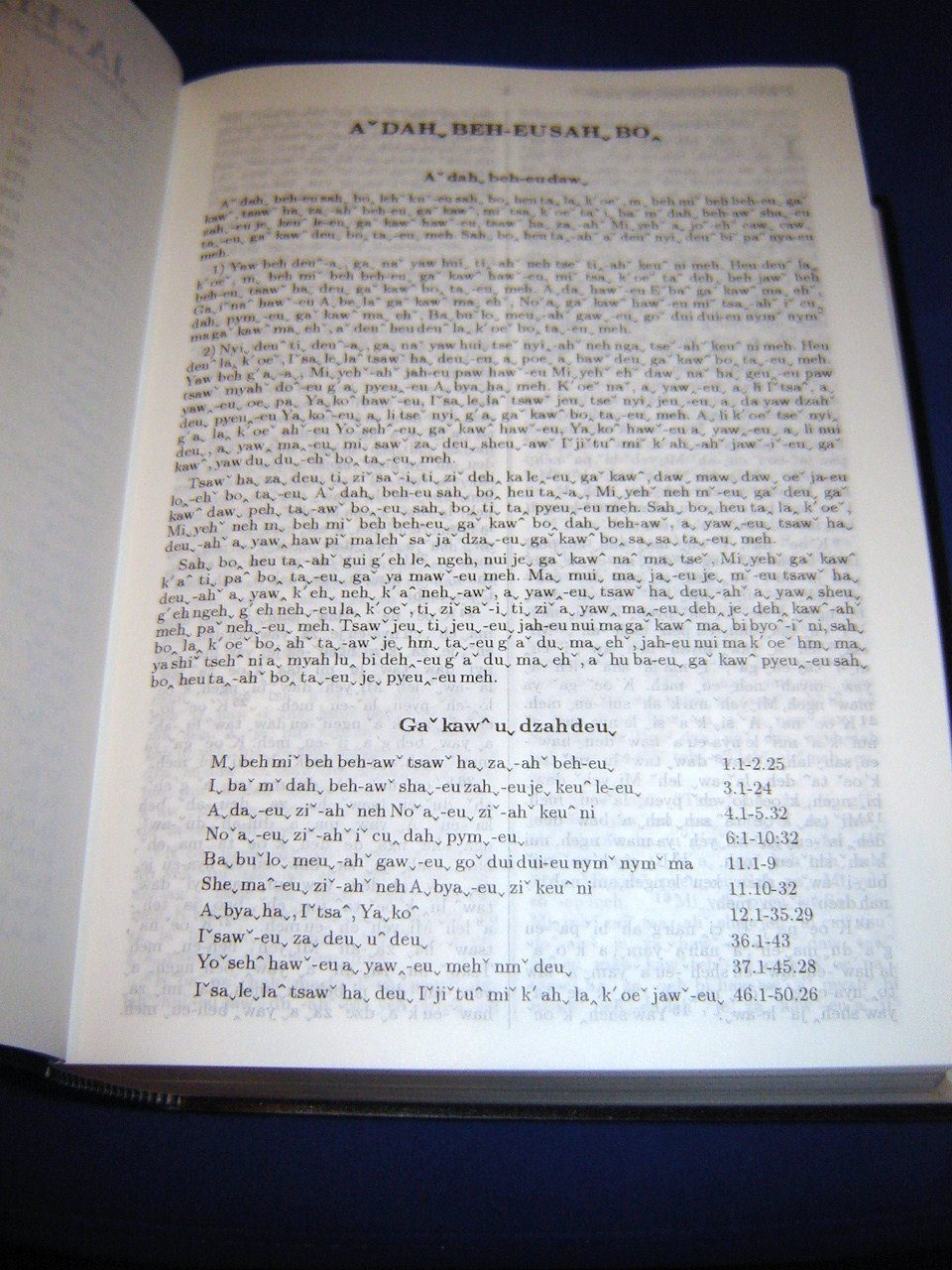 NEW STOCK The Bible in Akha / JA' LI / AKHA 63V / 2010 Print / Akha is ...