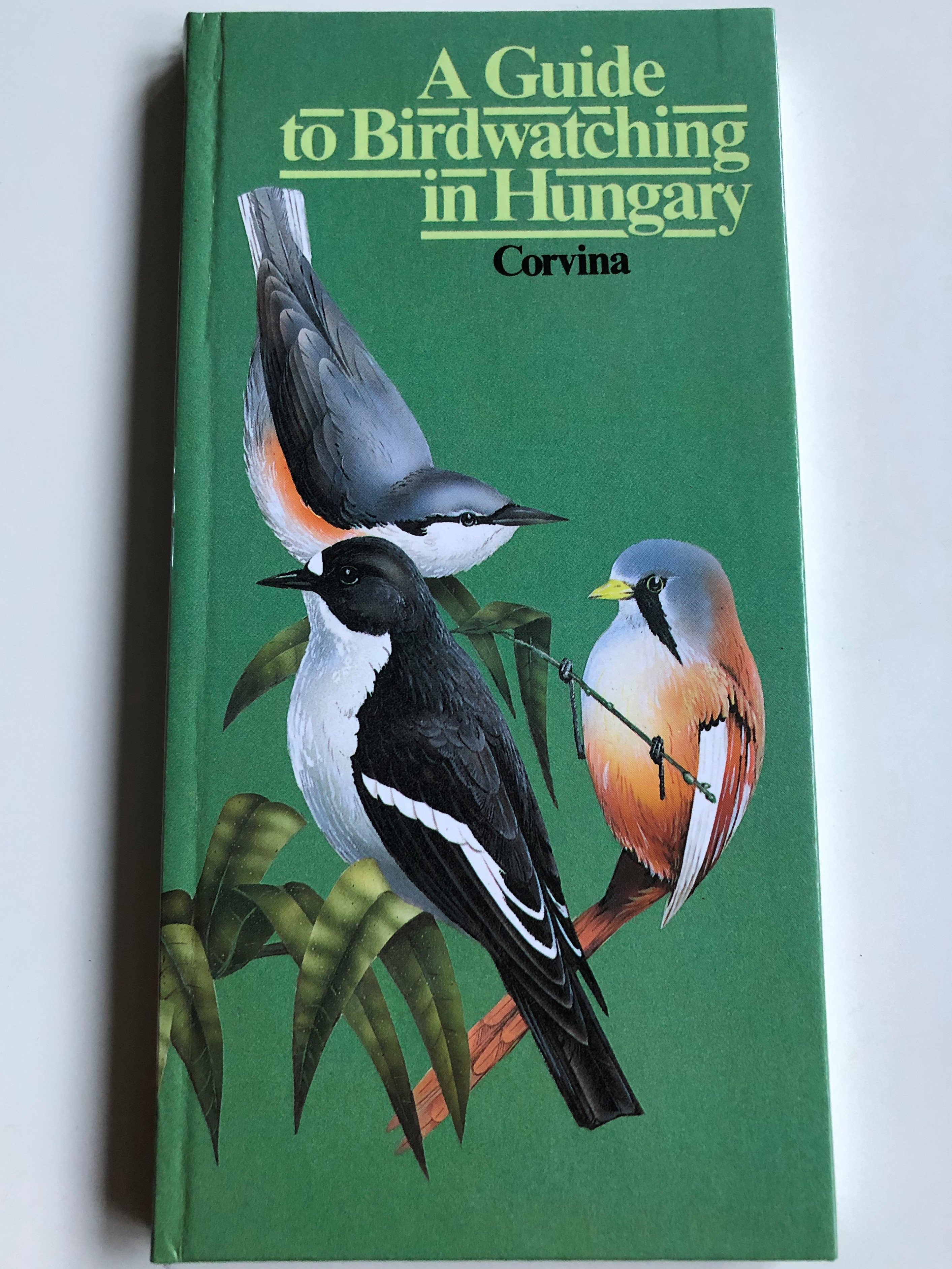 Explore Hungary's Avian Wonders with Gerard Gorman