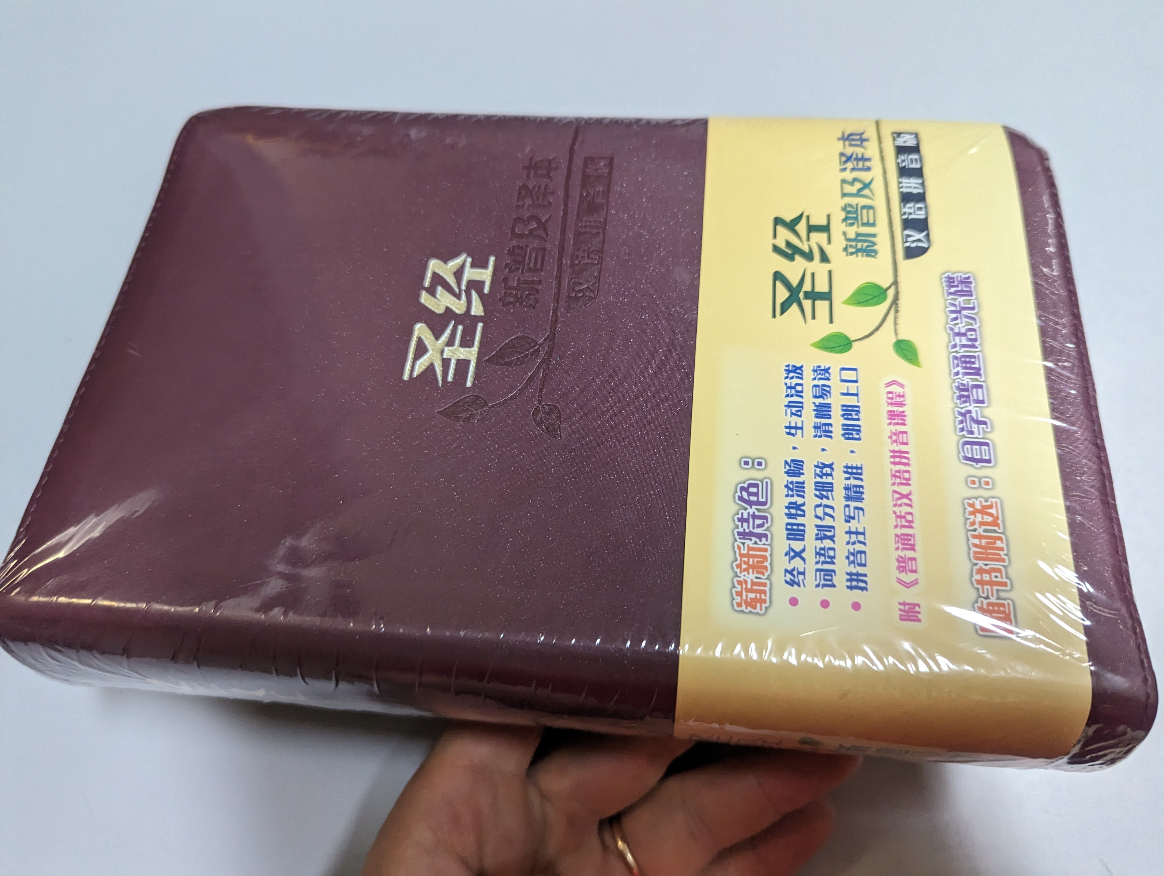 Chinese Simplified Bible - New Universal Translation