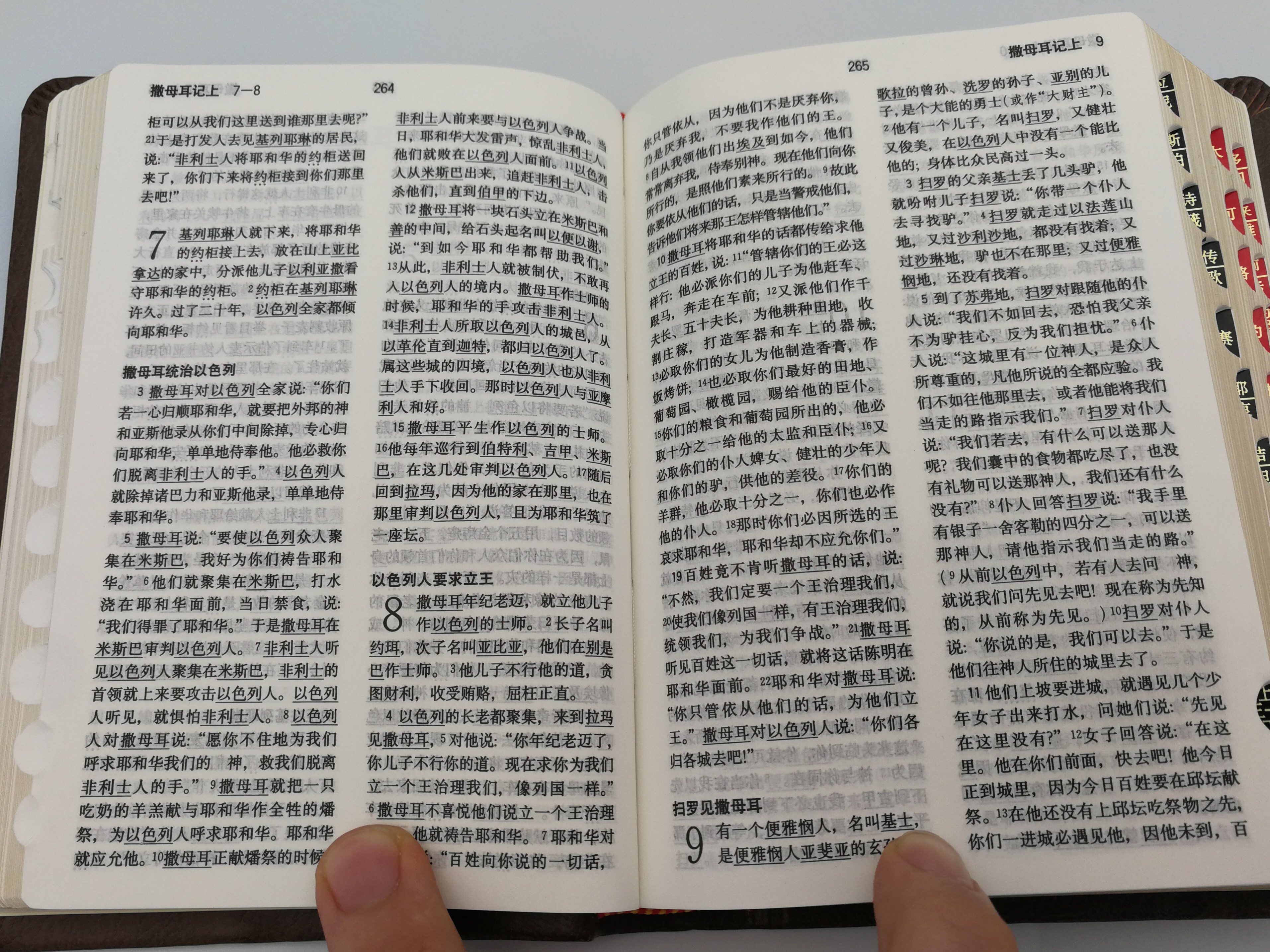 Chinese Language Holy Bible - Brown Bonded Leather