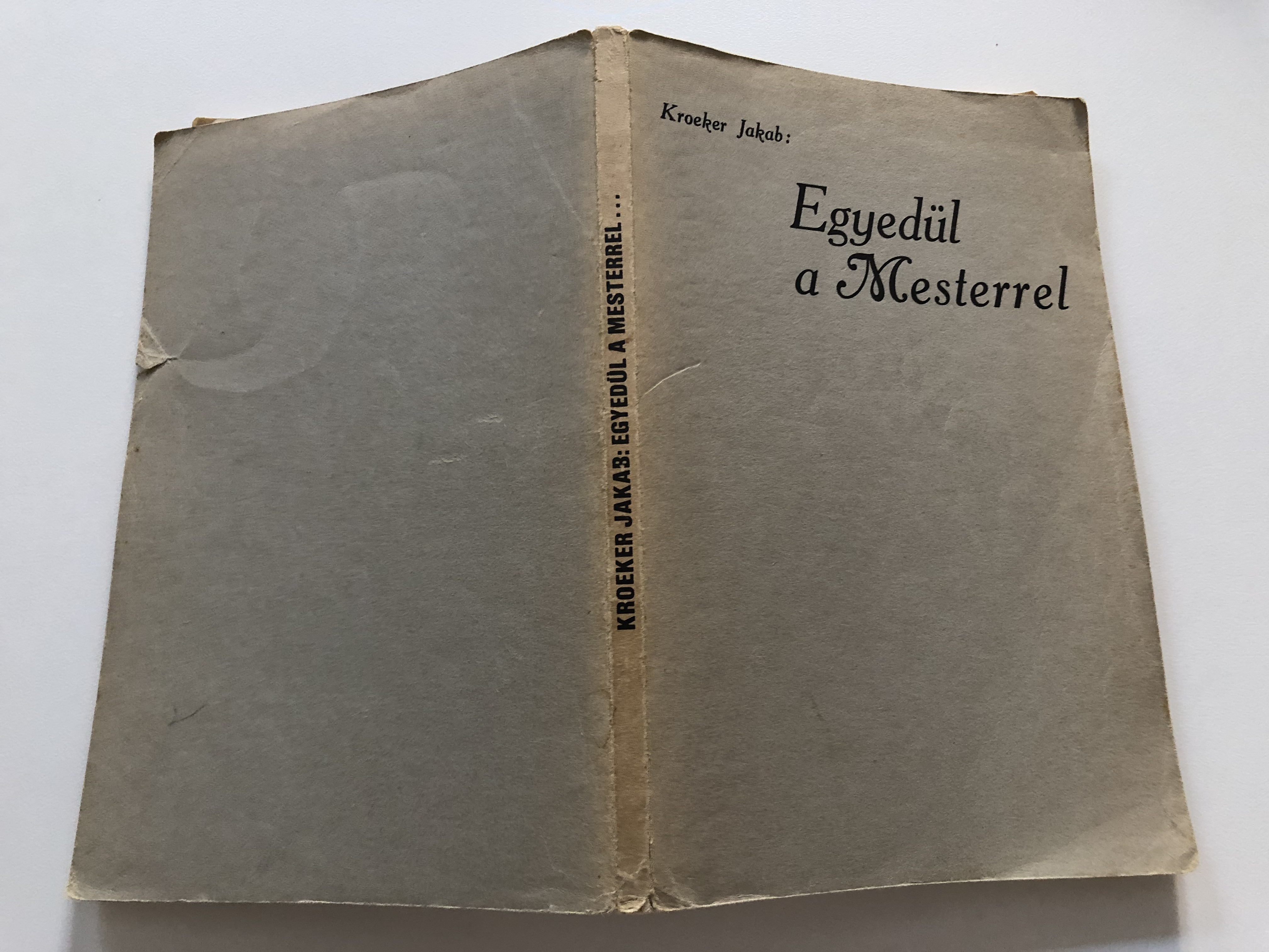 Egyedül a Mesterrel by Kroeker Jakab / A szolgálatban megfáradtaknak ...