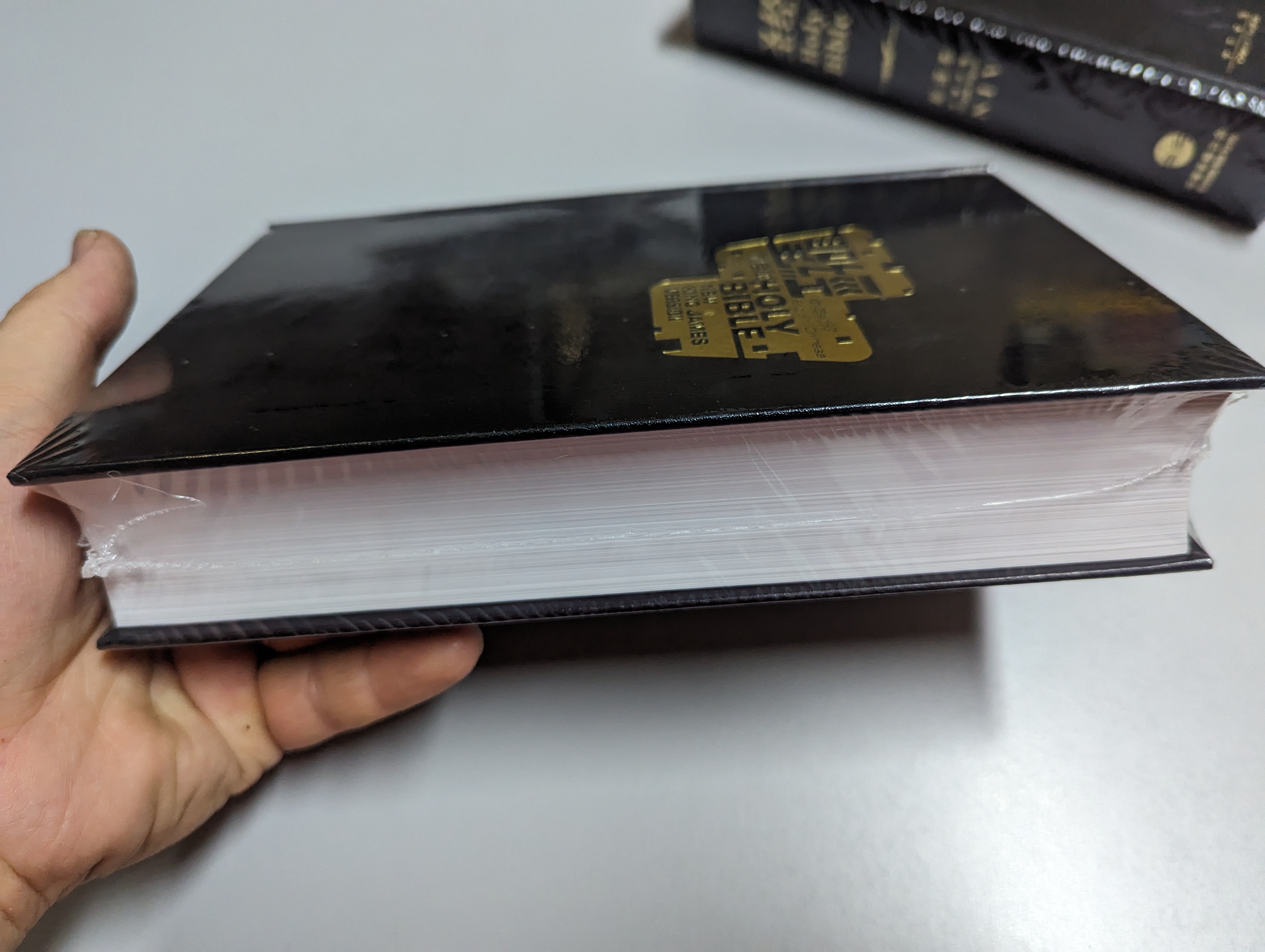 Chinese Holy Bible / New King James Version