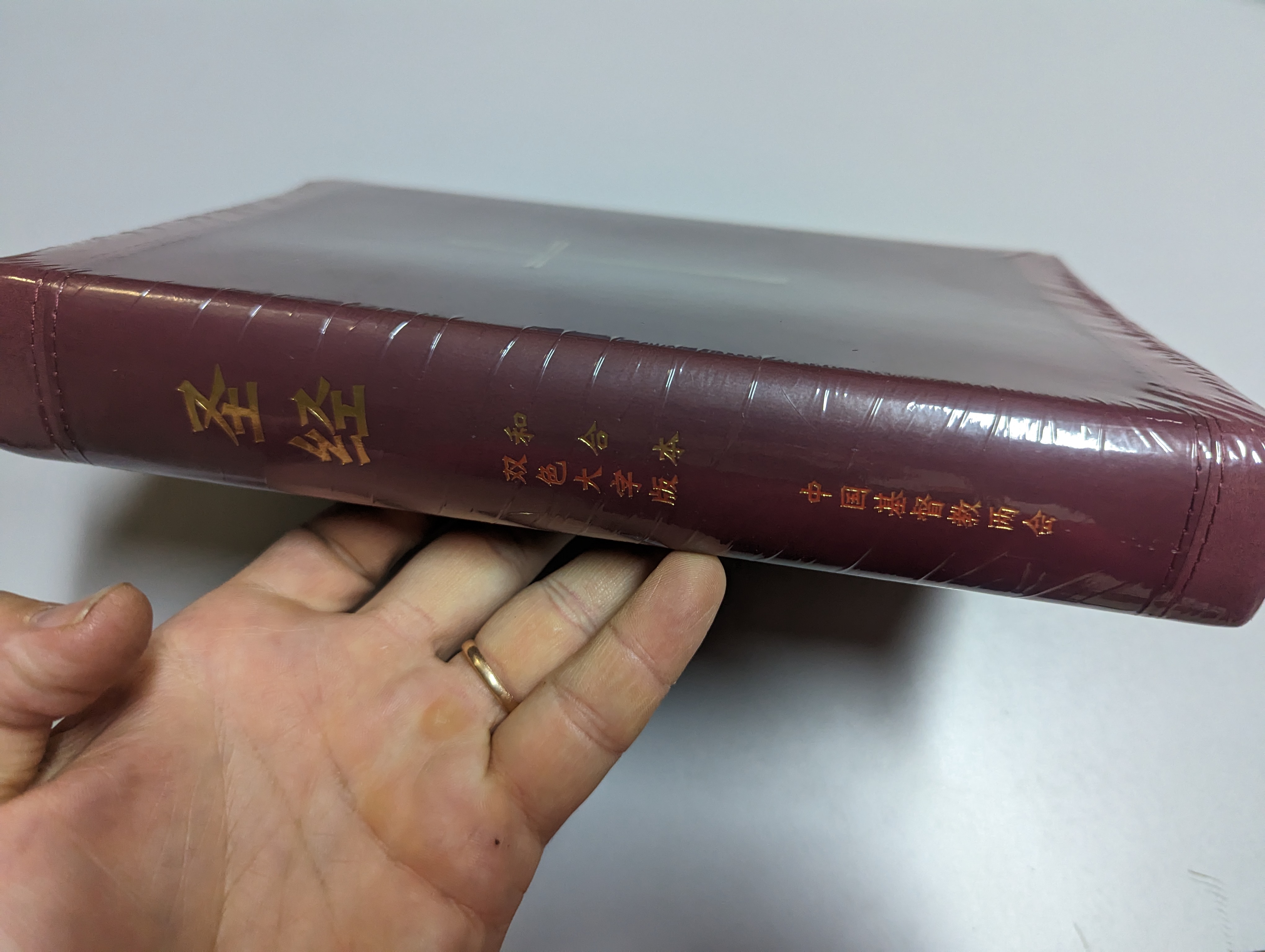 Extra Large Print Chinese Simplified Bible - CUV Bible