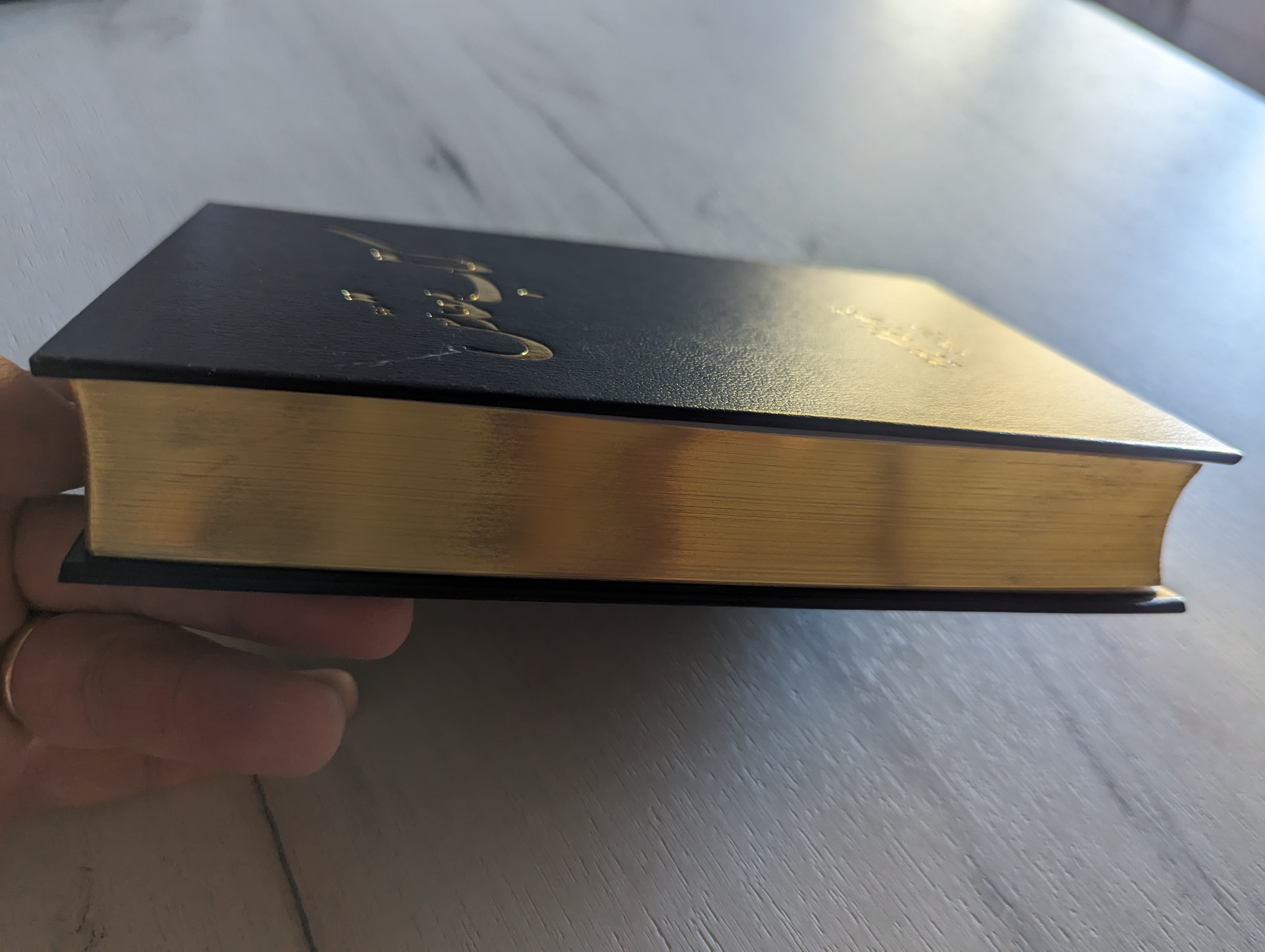 Persian Holy Bible / Today's Persian Version Revised TPVR