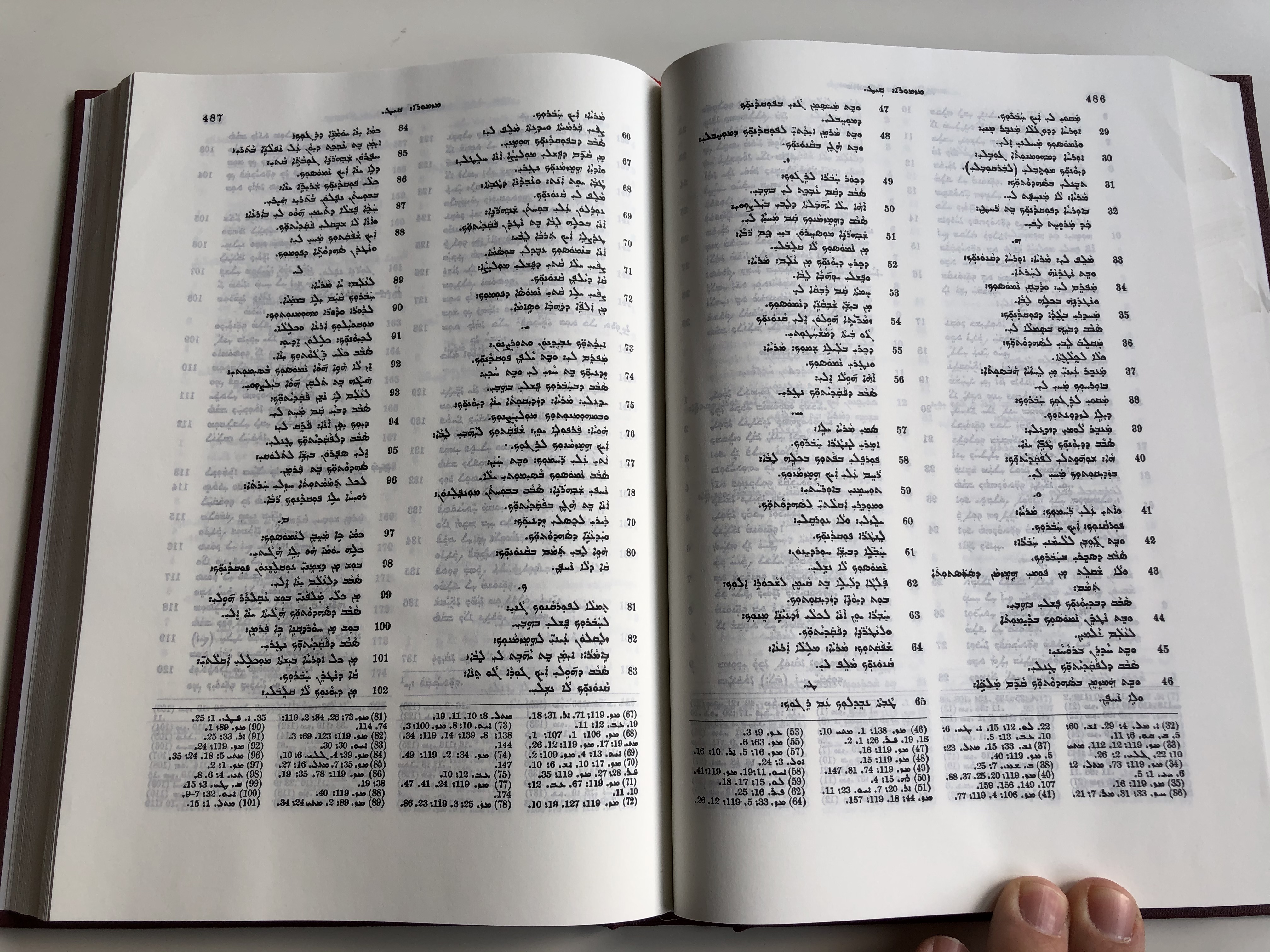 Syriac Bible M083 Modern Syriac Language