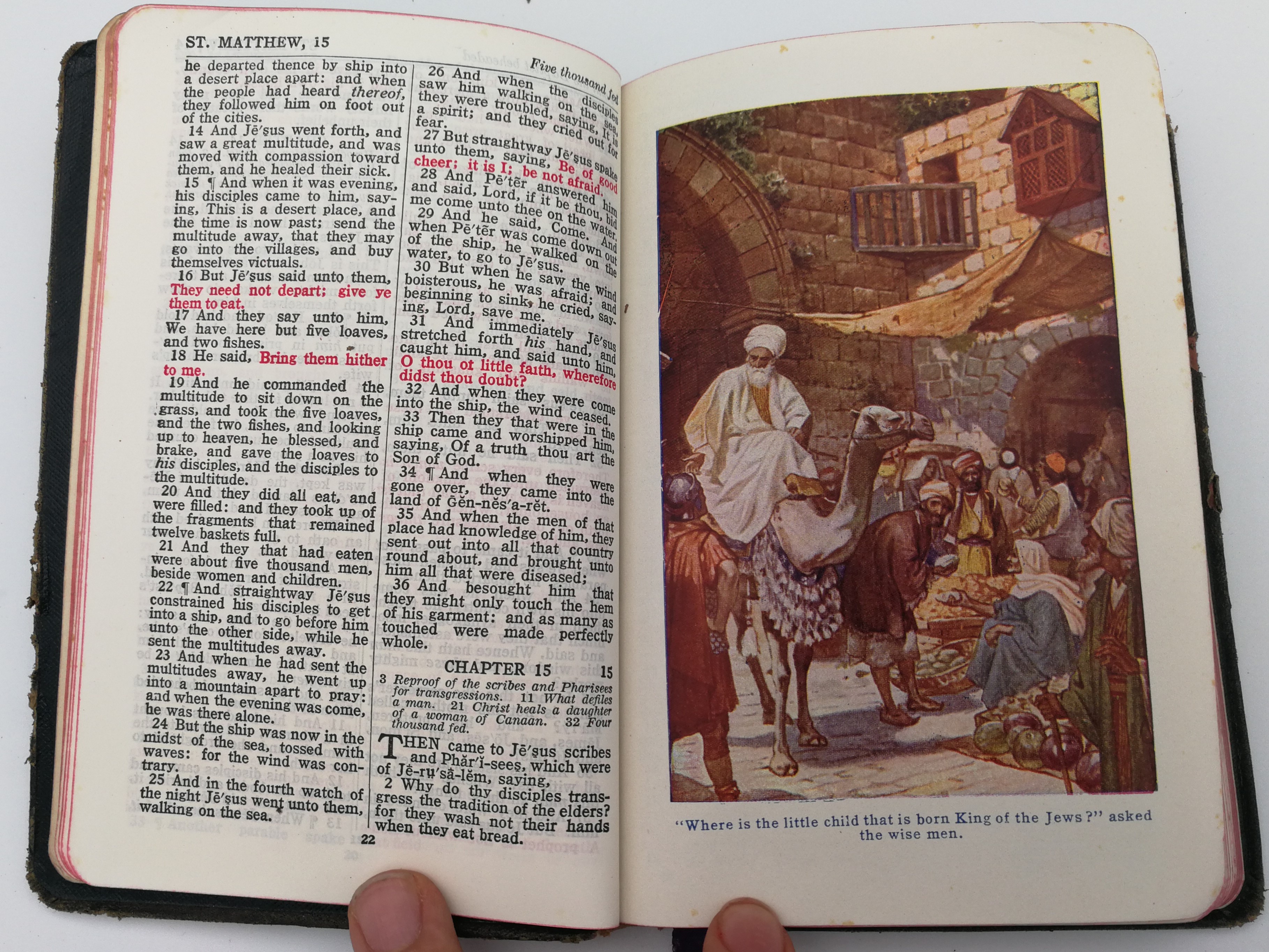 The Red Letter New Testament and Psalms