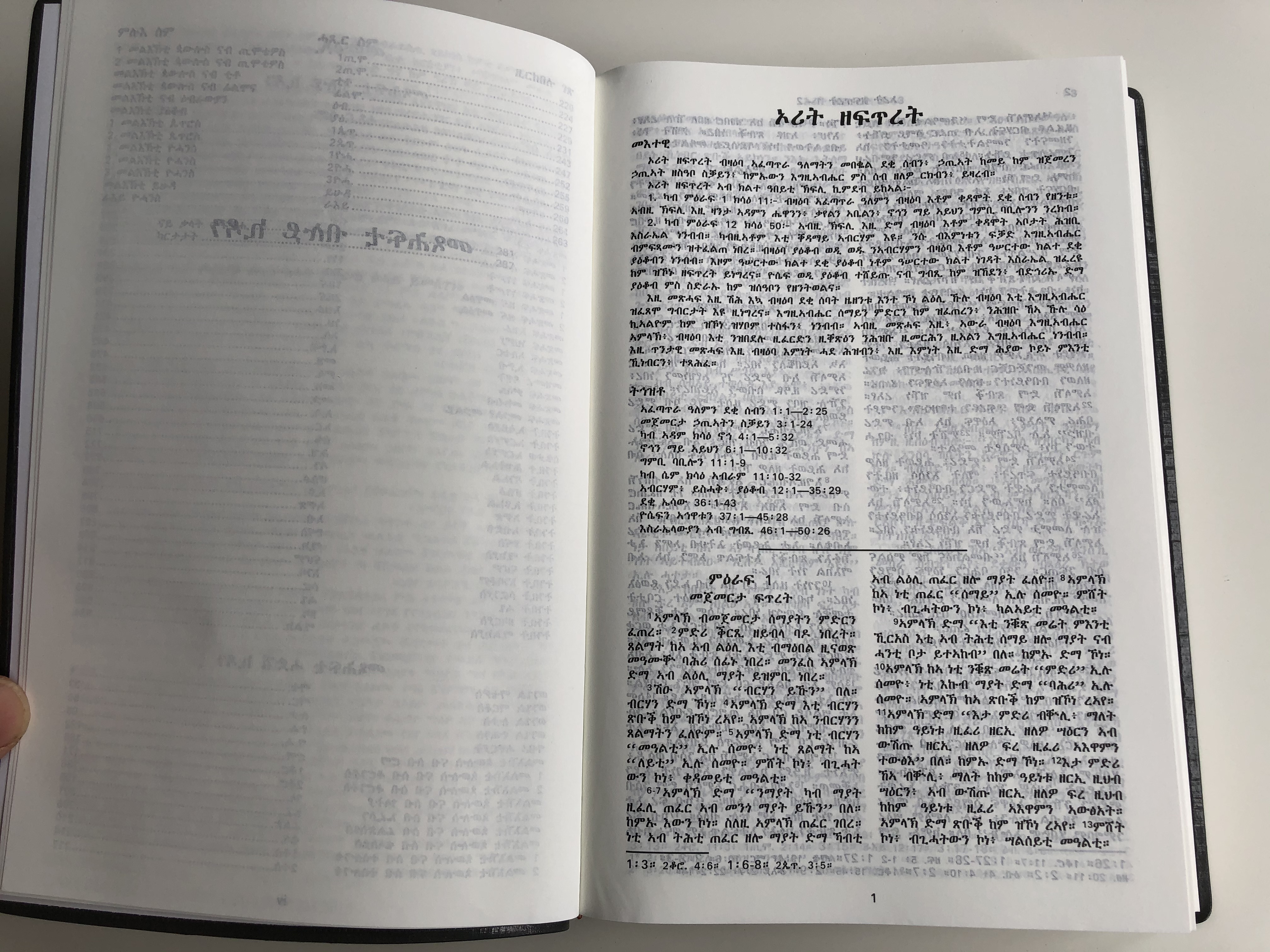 Tigrigna Revised Bible - Black Vinyl Softcover - 2015