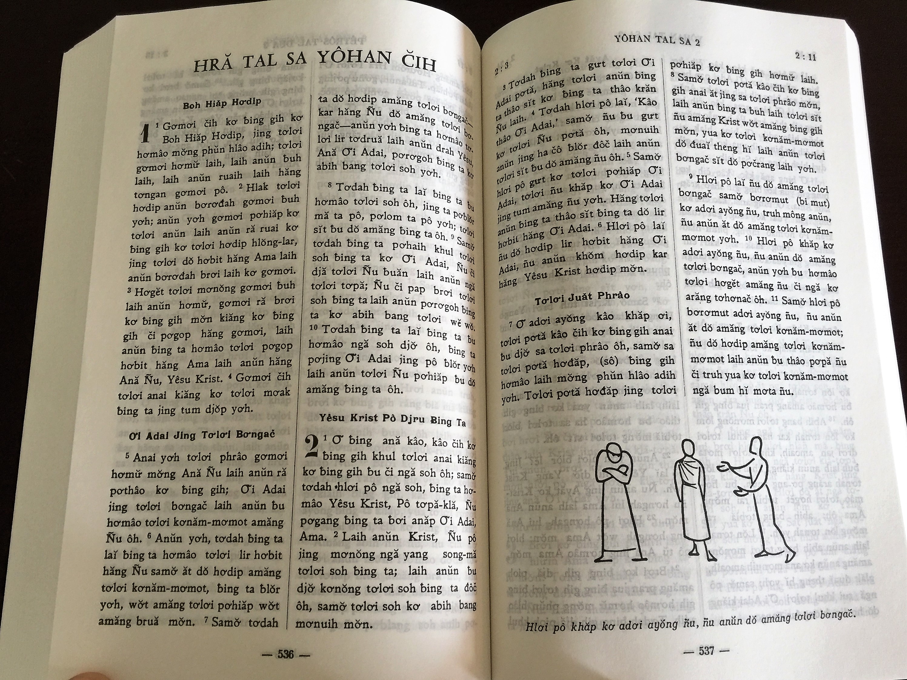 Jarai Language New Testament & Psalms