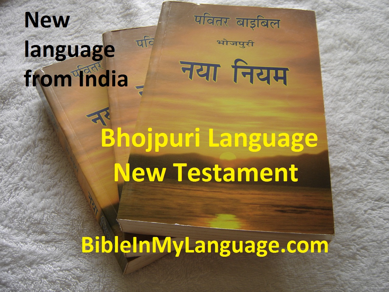 Adding a new language to our store: Bhojpuri Language New Testament / A ...