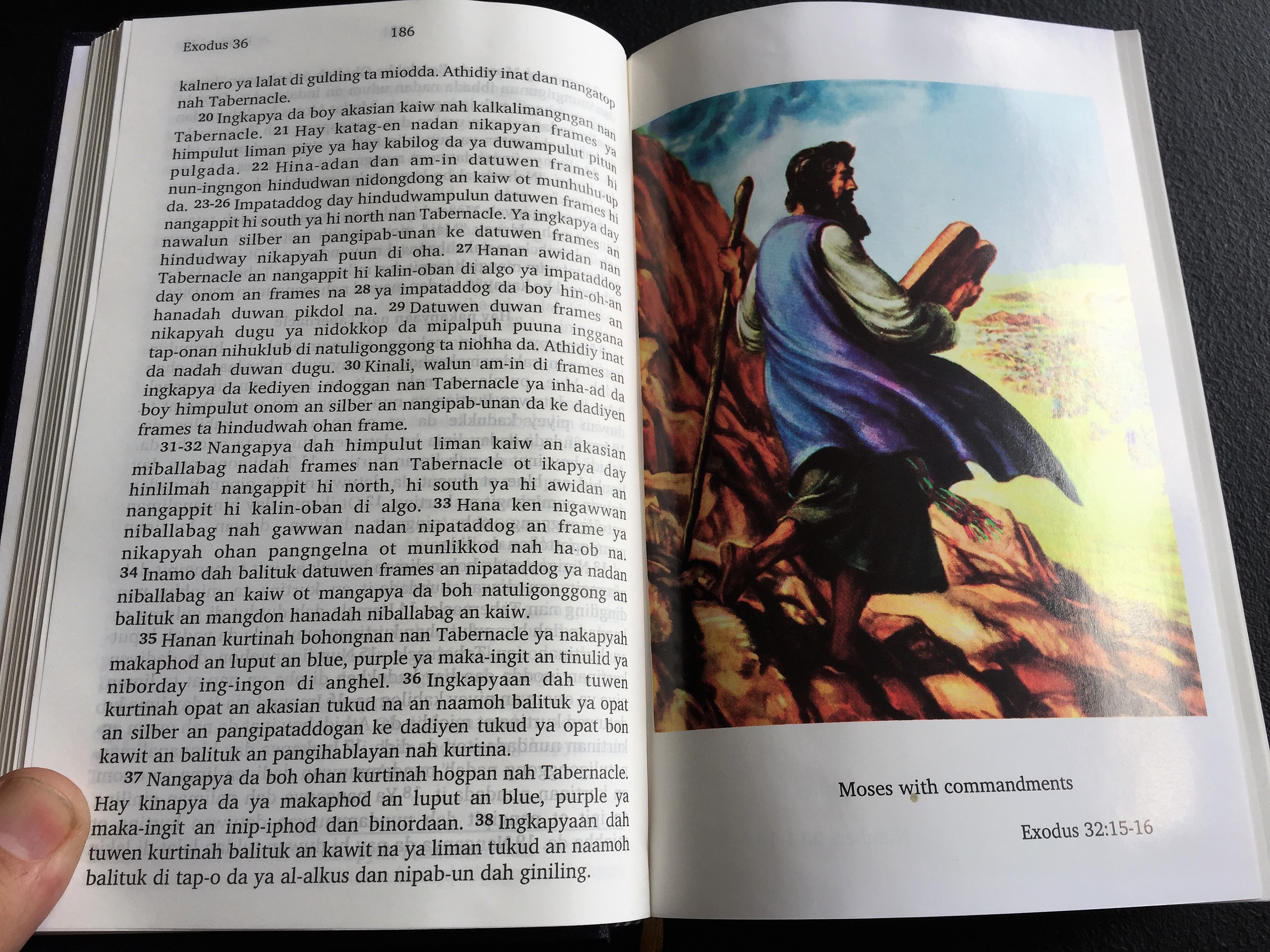 The Holy Bible in Tuwali Ifugao Language / Nan Kalin Apu Dios ...