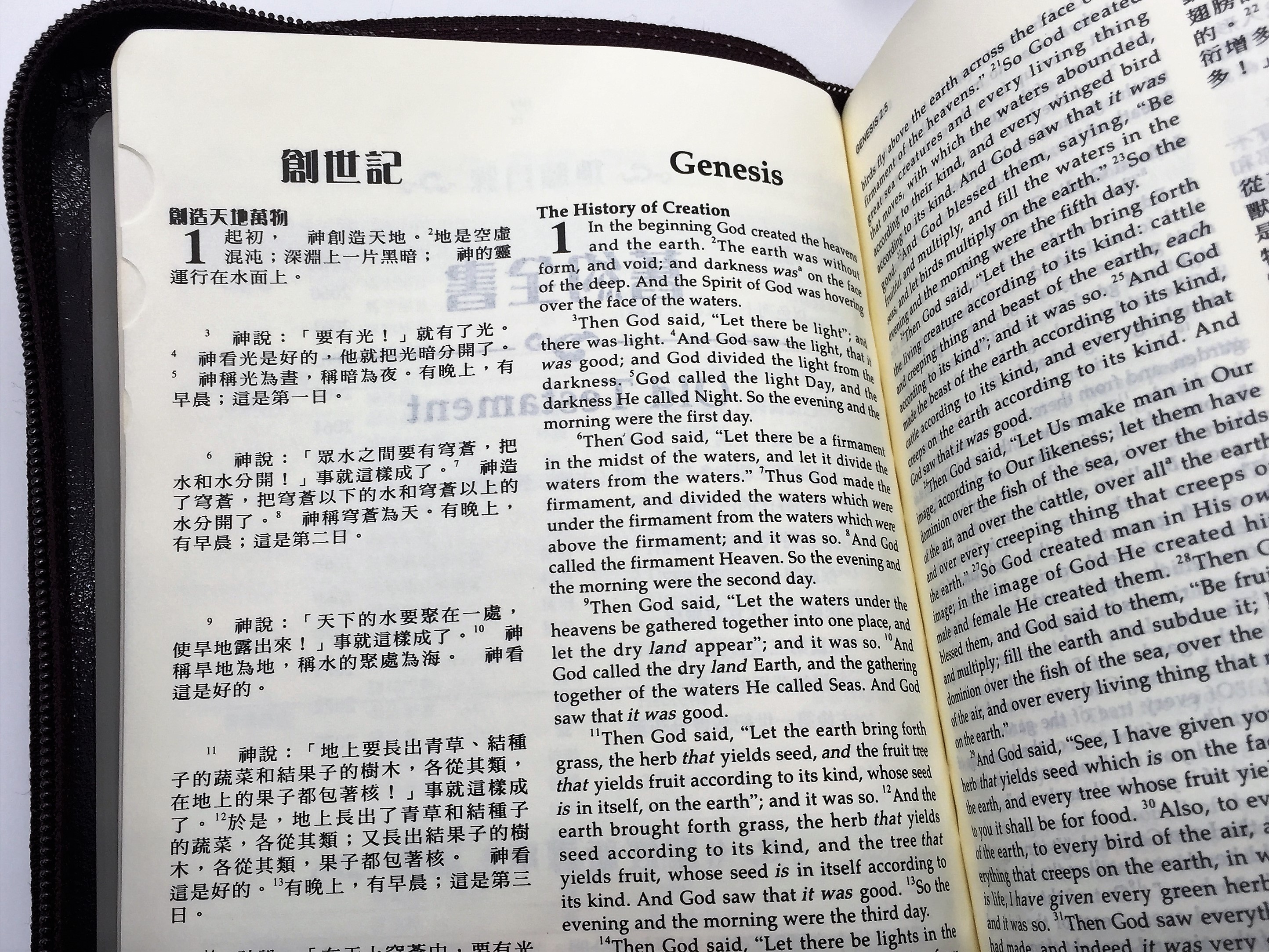 BIBLE / NKJV English - Chinese New Version (Shen Edition) Leather ...