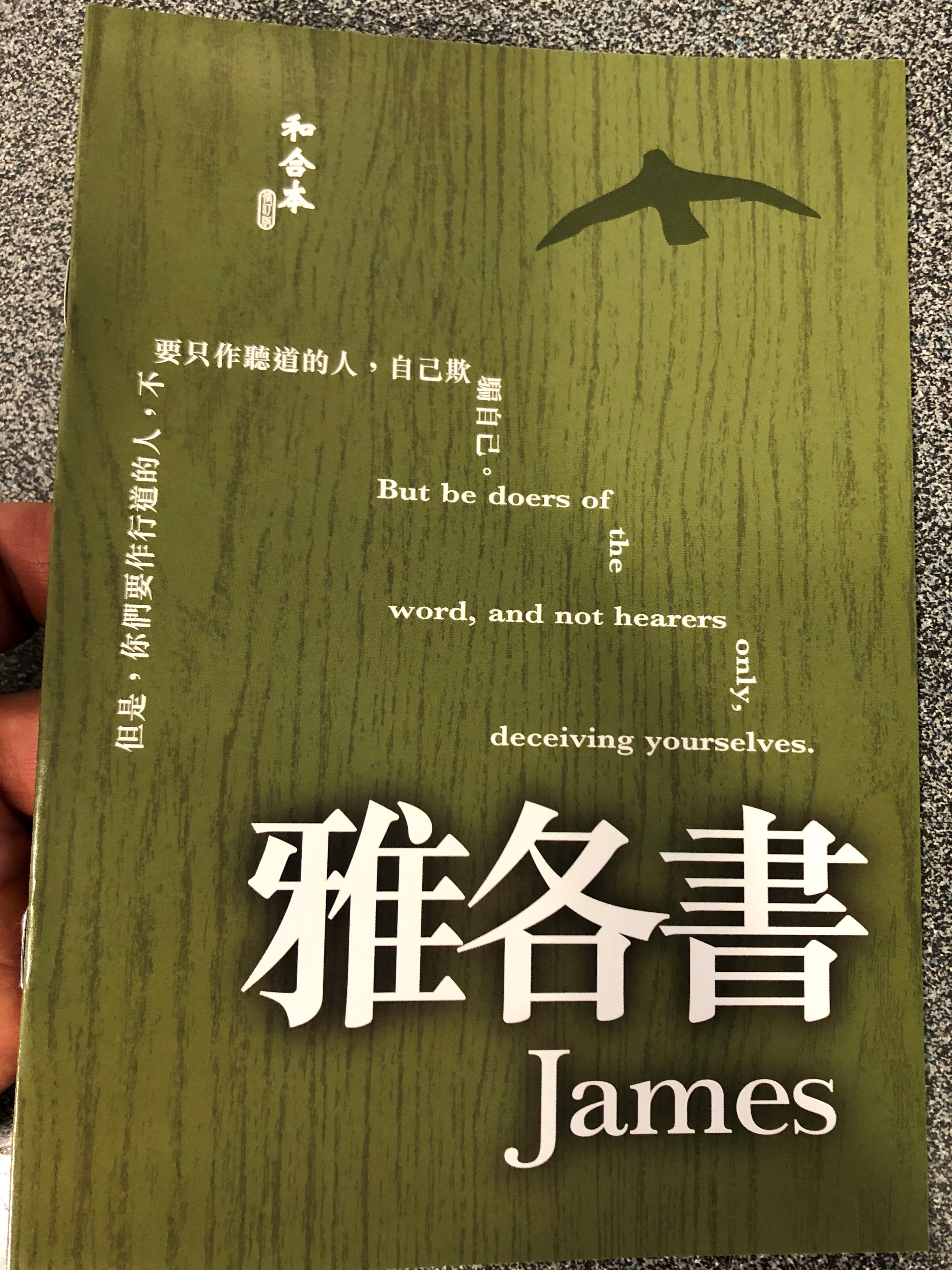 The Letter of James in Chinese Language SUPER LARGE PRINT Edition ...