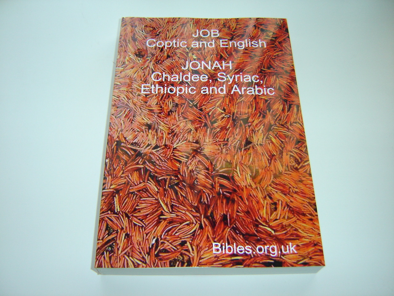 The Book of Job the Just in Ancient Coptic and English Language Script ...