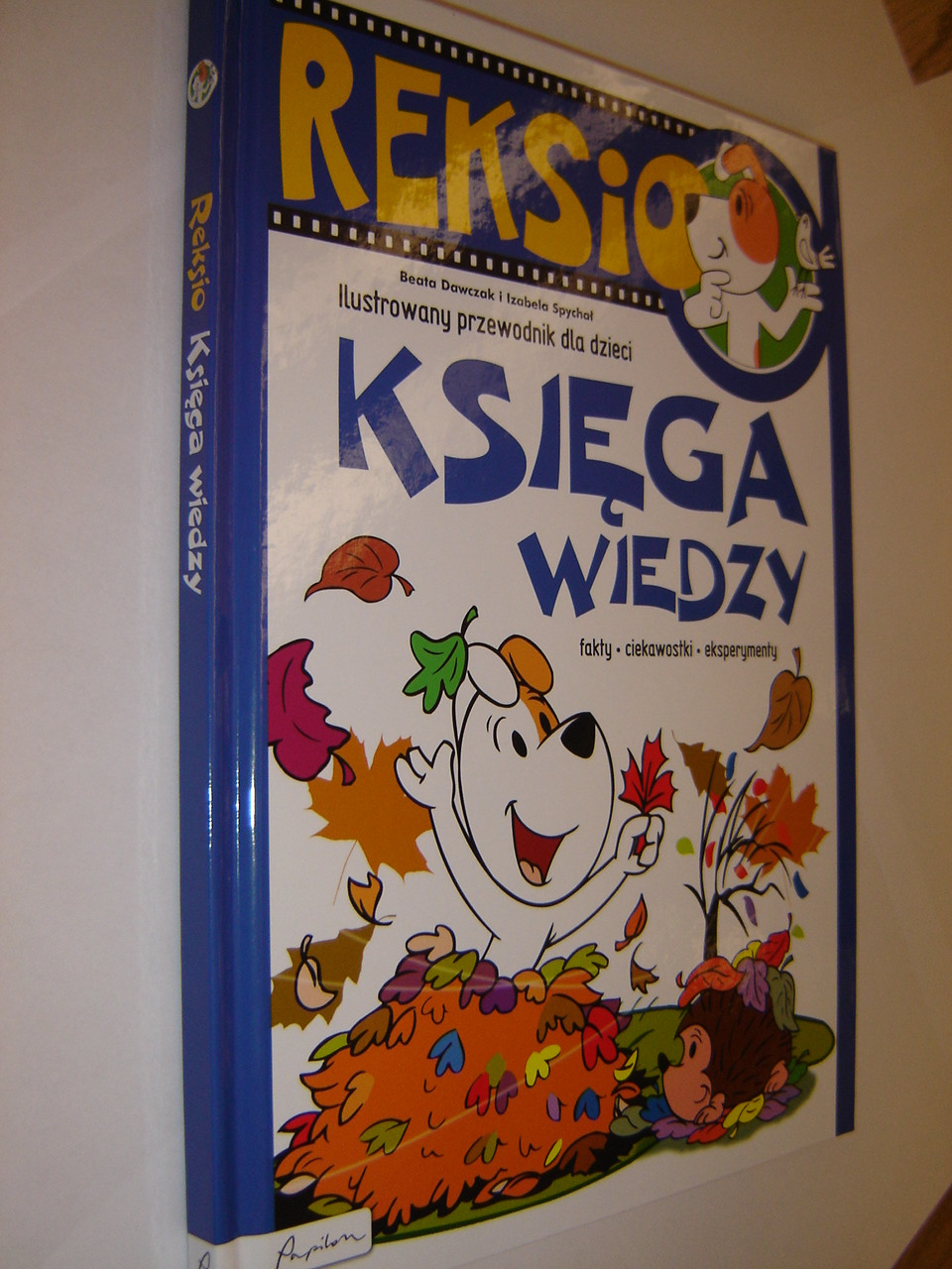 Polish Children's Book about Rexi the Dog / Learn and Experiment with ...