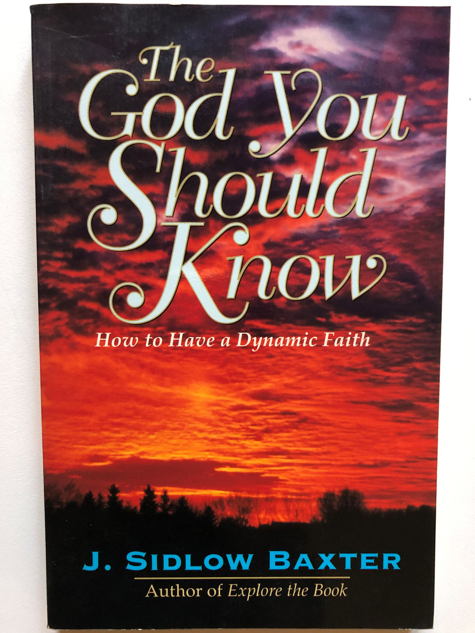 The God You Should Know / Paperback / Author: J. Sidlow Baxter ...