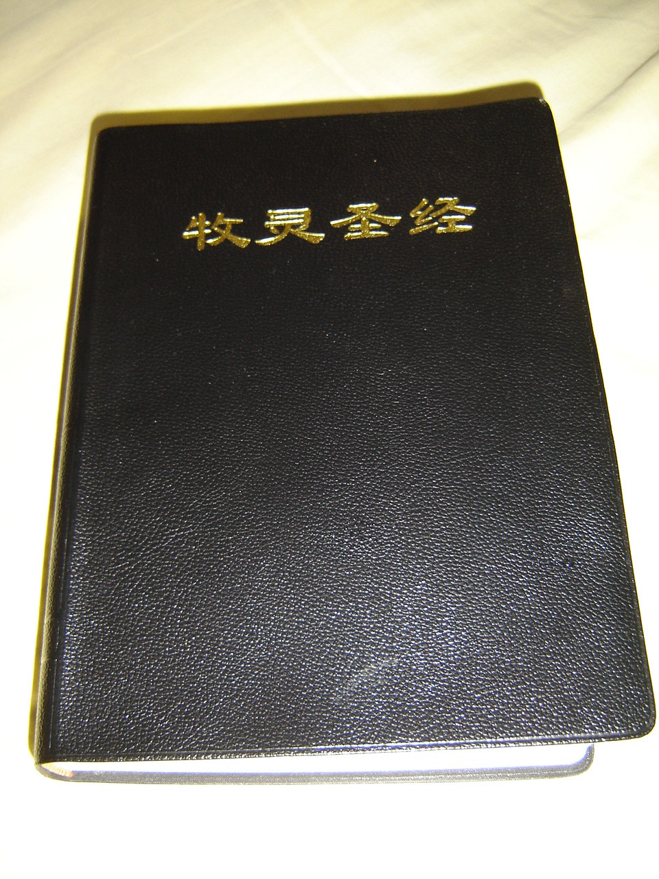 Chinese Catholic Community Bible / Study Bible / Color Maps, and ...