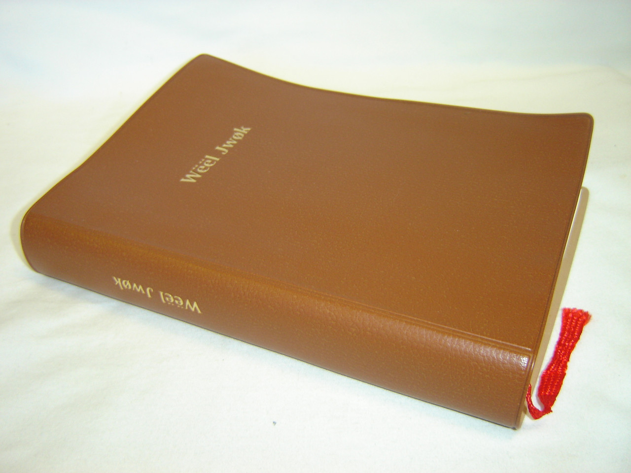 The Bible in Anyuak Language - Weel Jwok / Also called Anuak or Anywa ...