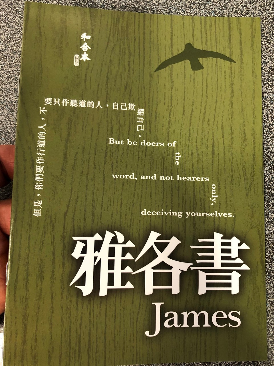 The Letter of James in Chinese Language SUPER LARGE PRINT Edition ...