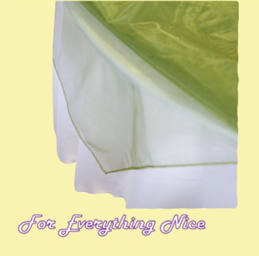 Sage Green Organza Table Overlay Decorations 72 inches x 25 For Hire ...