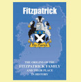 Fitzpatrick Coat of Arms Irish Family Name Fridge Magnets Set of 2 ...