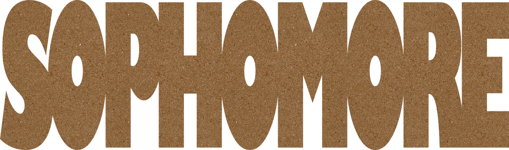 Sophomore - Chipboard Word - 7 1/2" x 2 1/2" - Want2Scrap