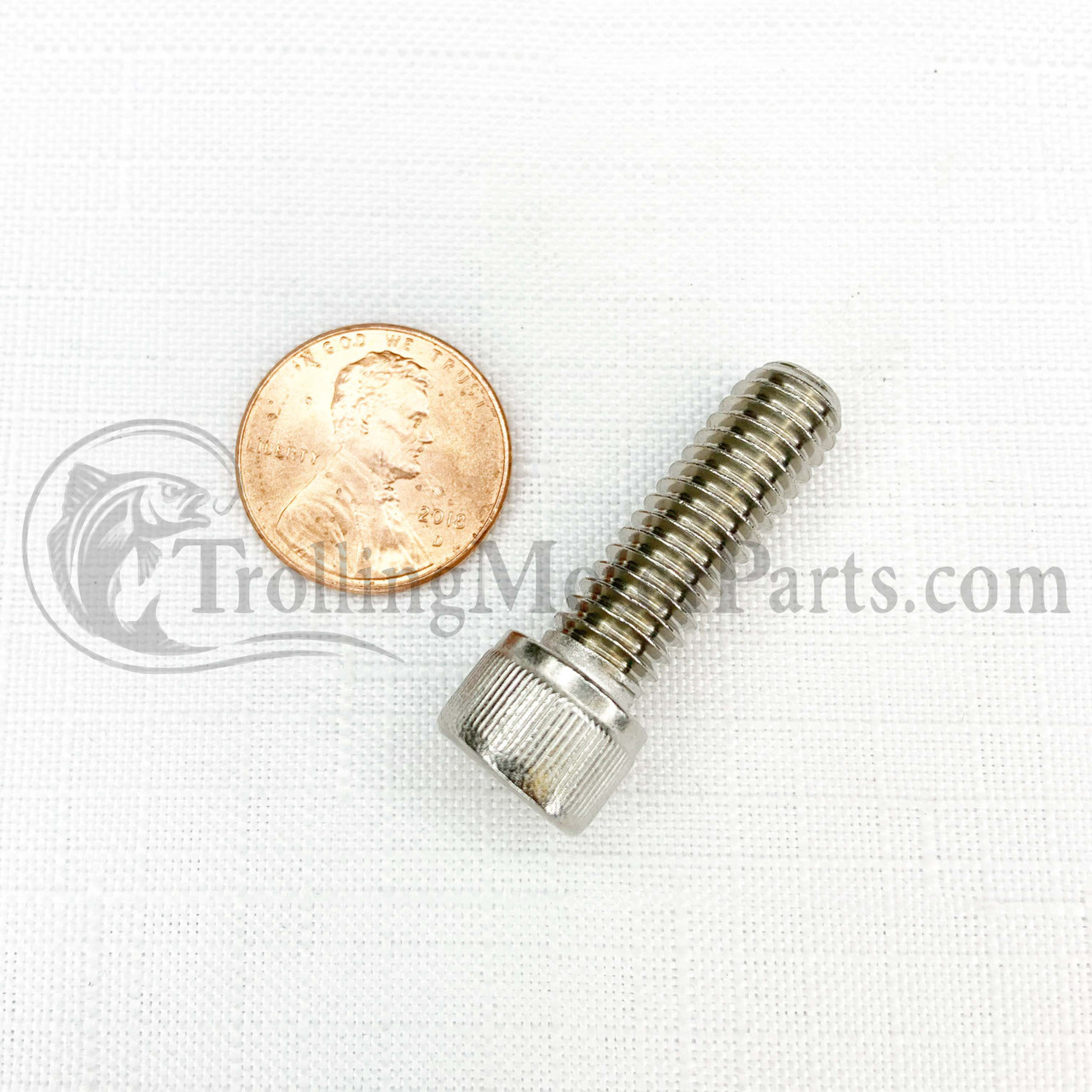 Minn Kota Fortrex Bowguard Hex Bolt (5/16-18 x 1") - Trollingmotorparts.com