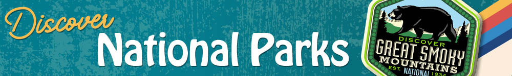 Discover America Magnet Collection | Classic Magnets