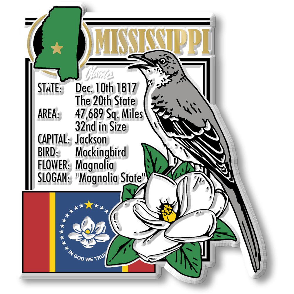 50 State Informational Magnet Set - ClassicMagnets.com