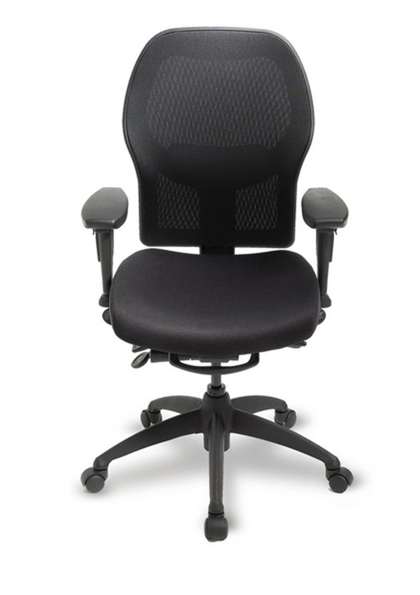 ecoCentric Double Mesh Backrest and Lumbar Adjustment | ergoCentric